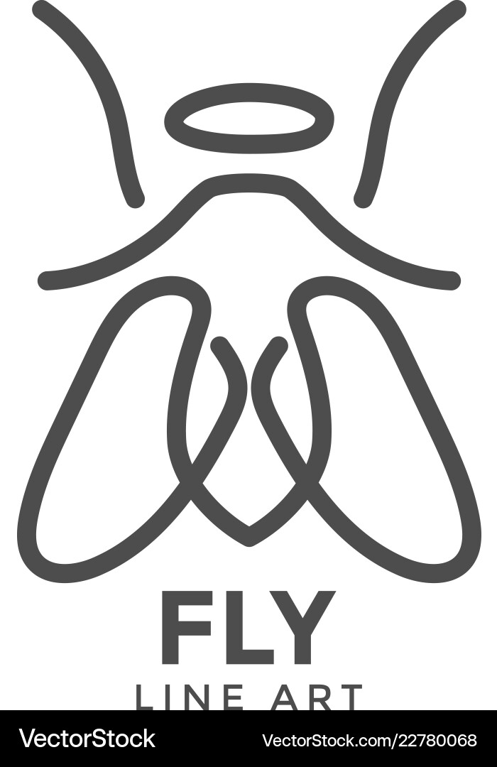 Fly graphic design template Royalty Free Vector Image