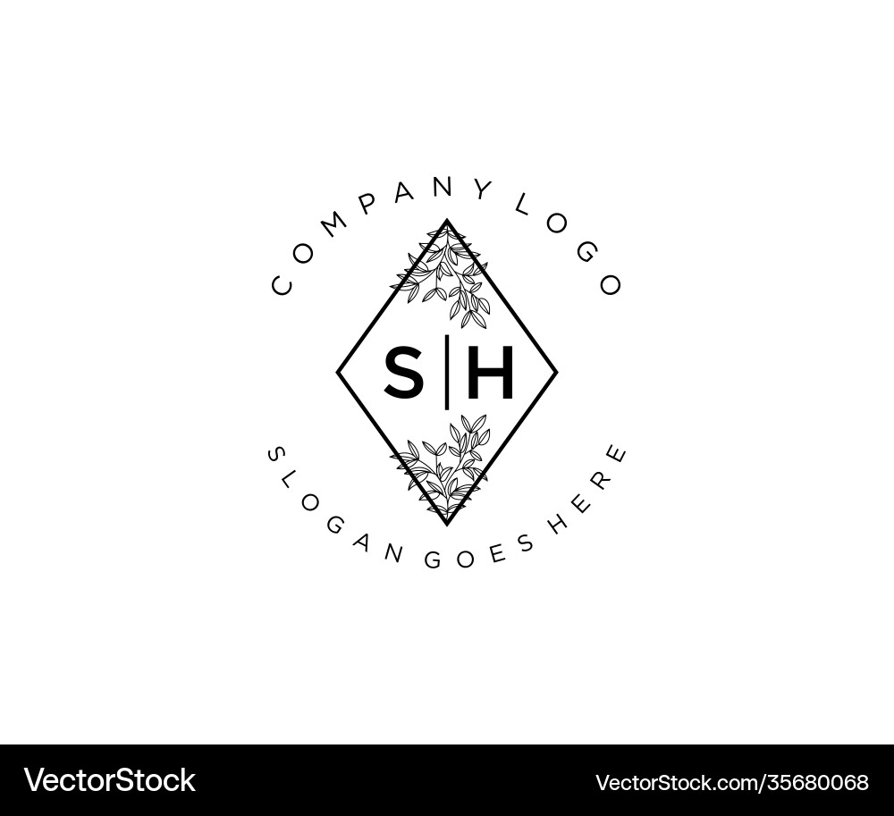 Initial sh letters beautiful floral feminine Vector Image