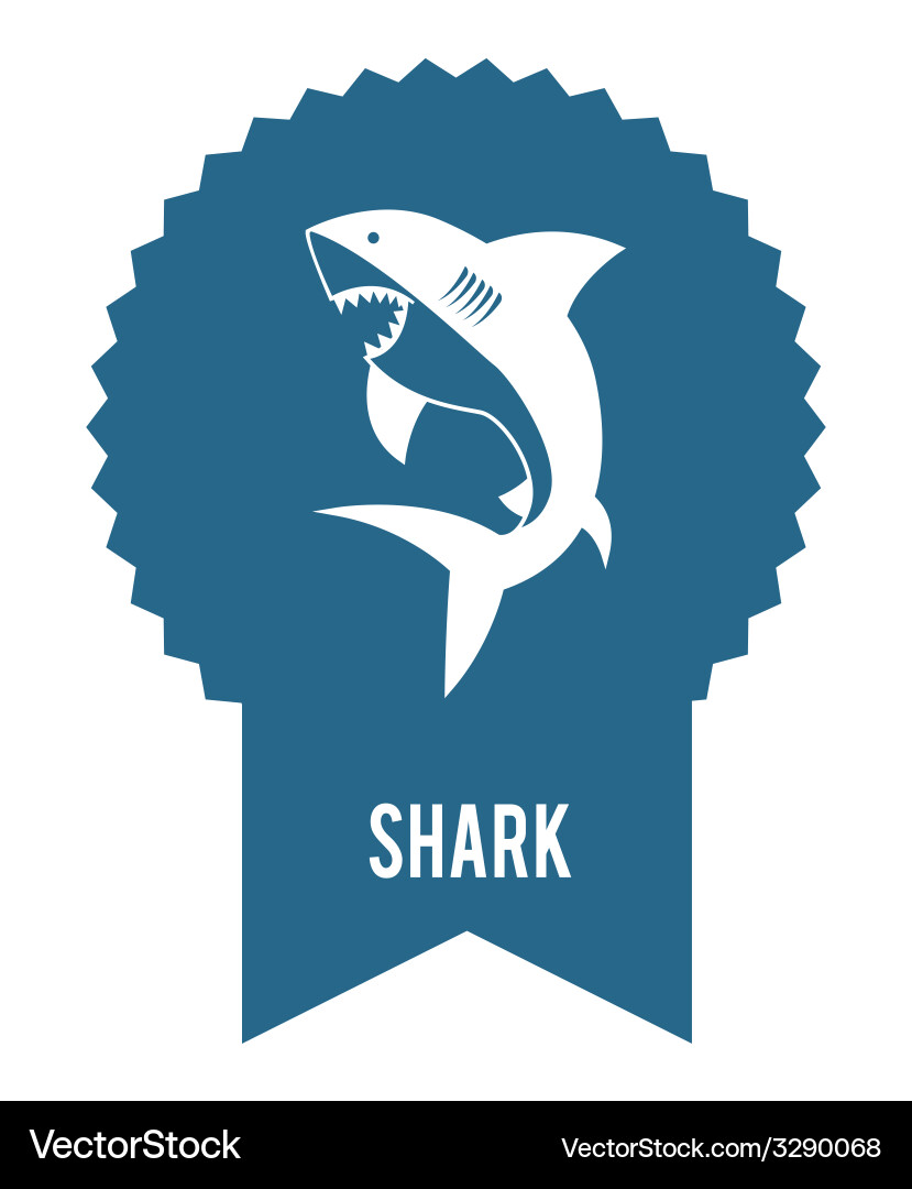 Shark design Royalty Free Vector Image - VectorStock