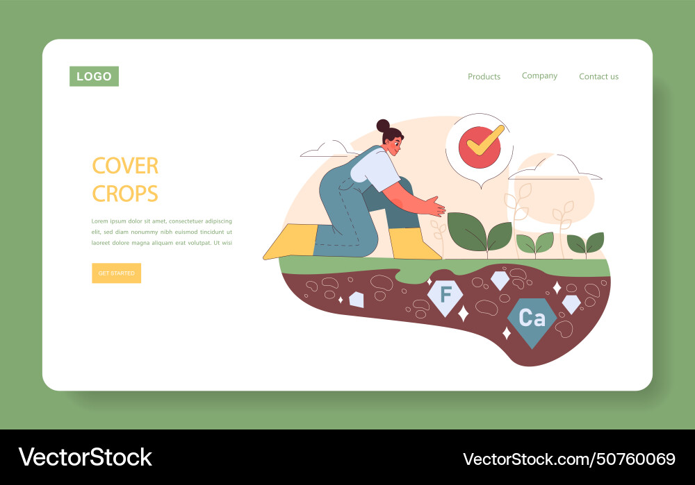 Cover crops concept Royalty Free Vector Image - VectorStock