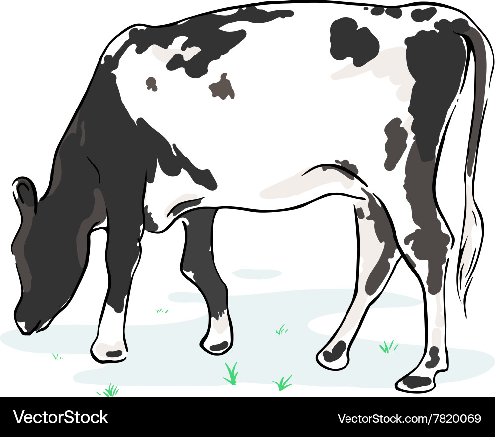 Cow on a white background Royalty Free Vector Image