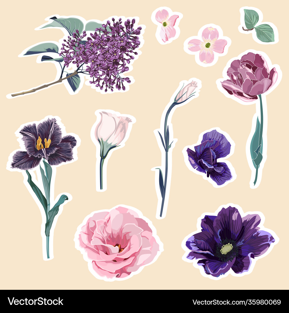 Floral Spring Stickers Royalty Free Vector Image