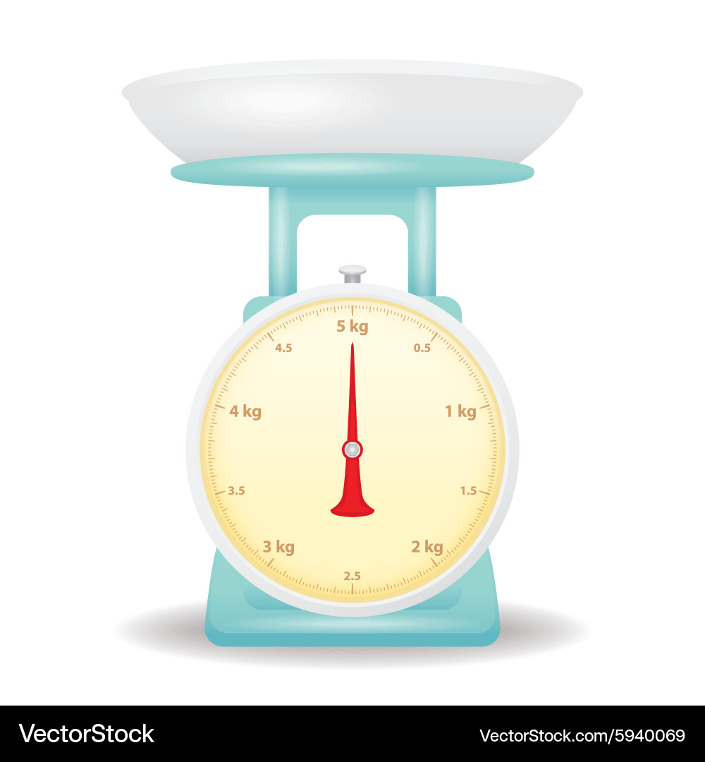 Light blue color weight scale market isolate Vector Image