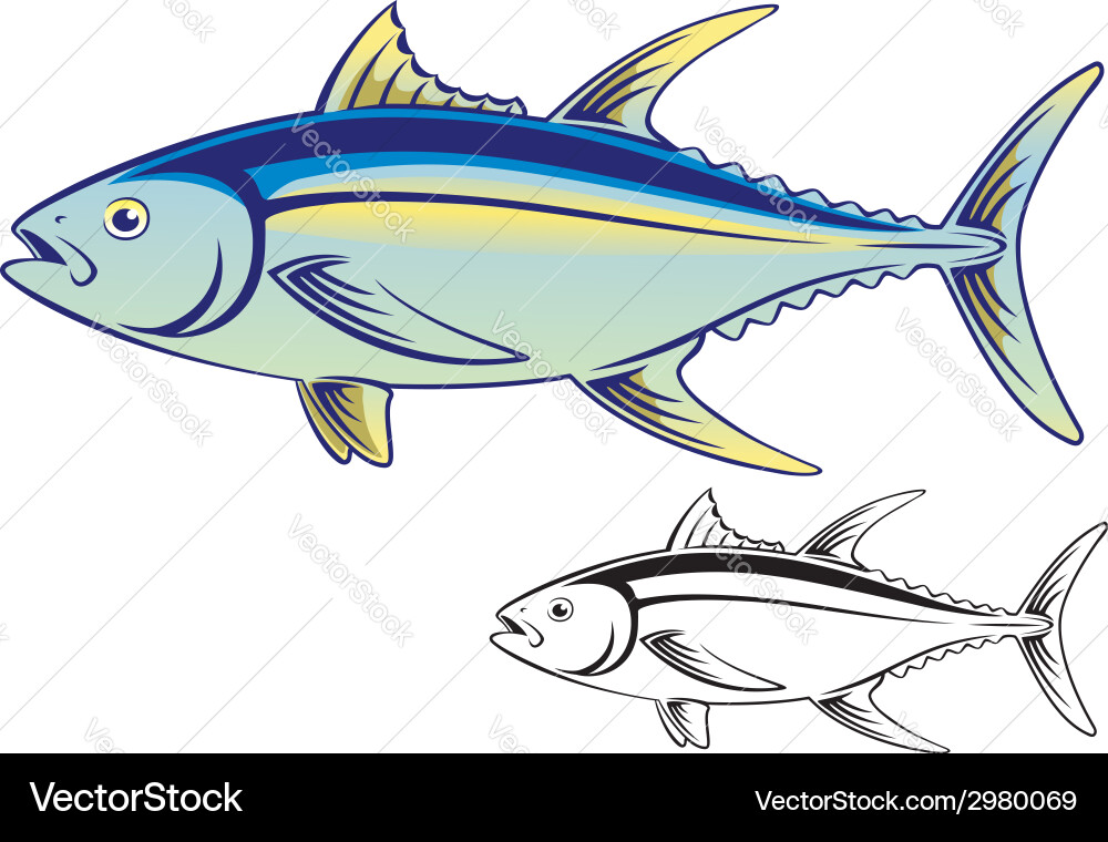 Tuna fish Royalty Free Vector Image - VectorStock