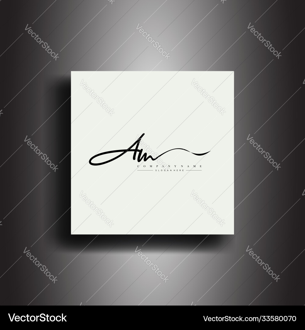 Am signature style monogramcalligraphic lettering Vector Image