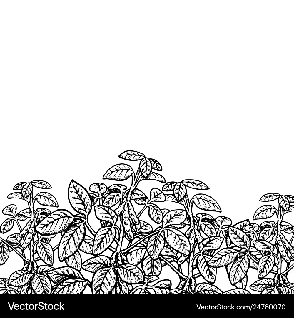Hand drawn background with soy plant Royalty Free Vector