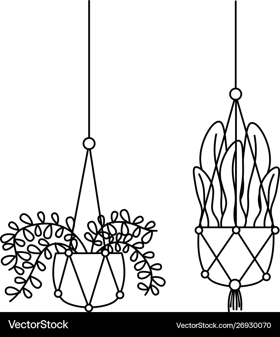 Hanging plants inside pots design Royalty Free Vector Image