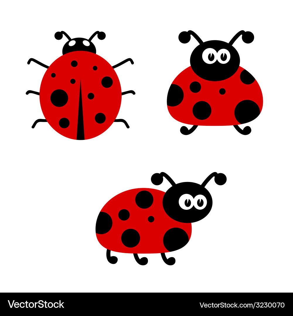 Ladybug cartoon Royalty Free Vector Image - VectorStock