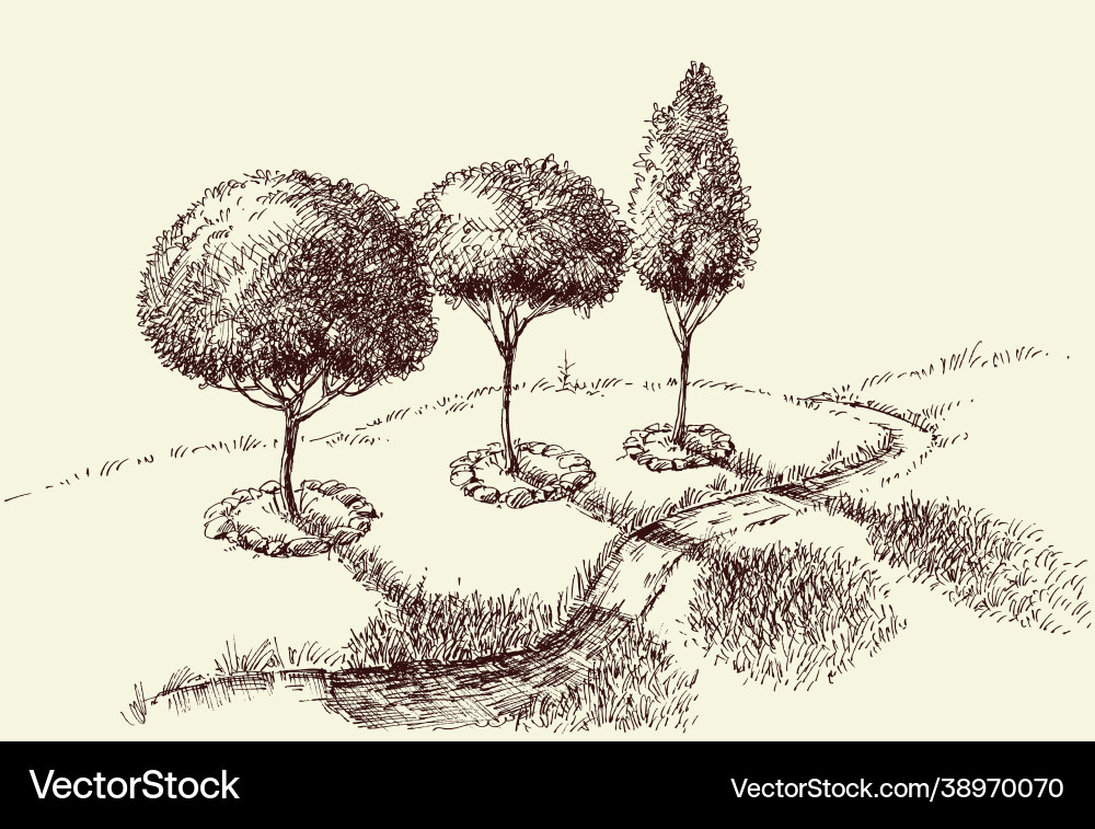 Park alley hand drawing trees and a footpath Vector Image