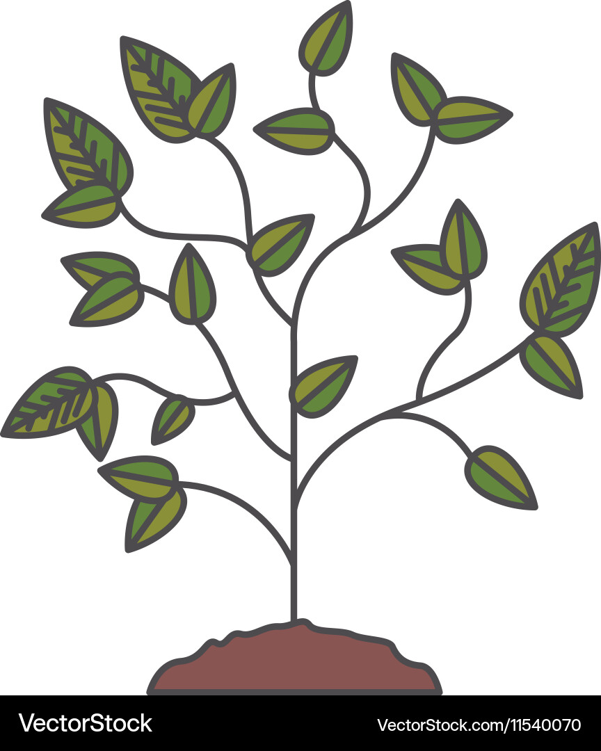 Plant with leaves design Royalty Free Vector Image