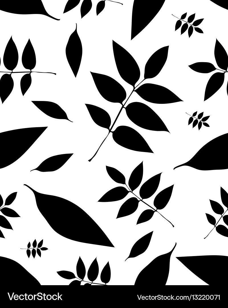 Leaves of trees Royalty Free Vector Image - VectorStock