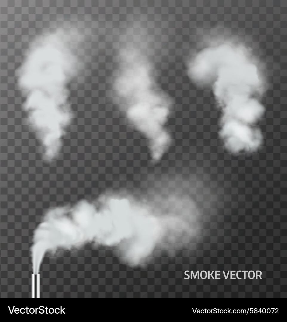 Realistic smoke steam on transparent background Vector Image