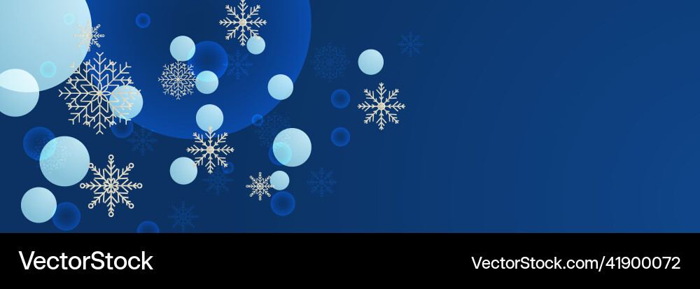 Winter blue snowflake design template banner Vector Image