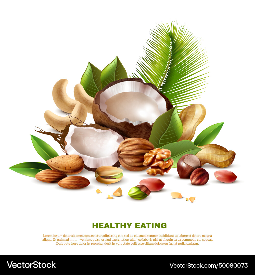 Nuts realistic Royalty Free Vector Image - VectorStock
