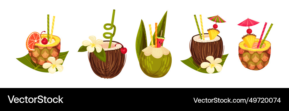 Cool coconut and pineapple cocktail in shell Vector Image
