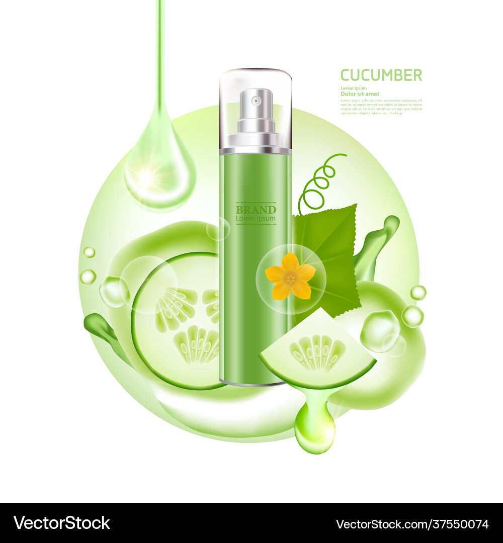 Premium cucumber fresh product Royalty Free Vector Image