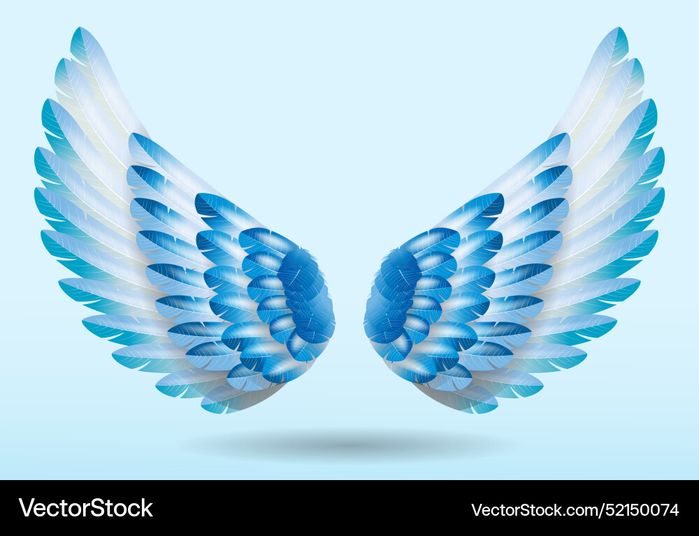 Realistic rainbow angel wings isolated Royalty Free Vector
