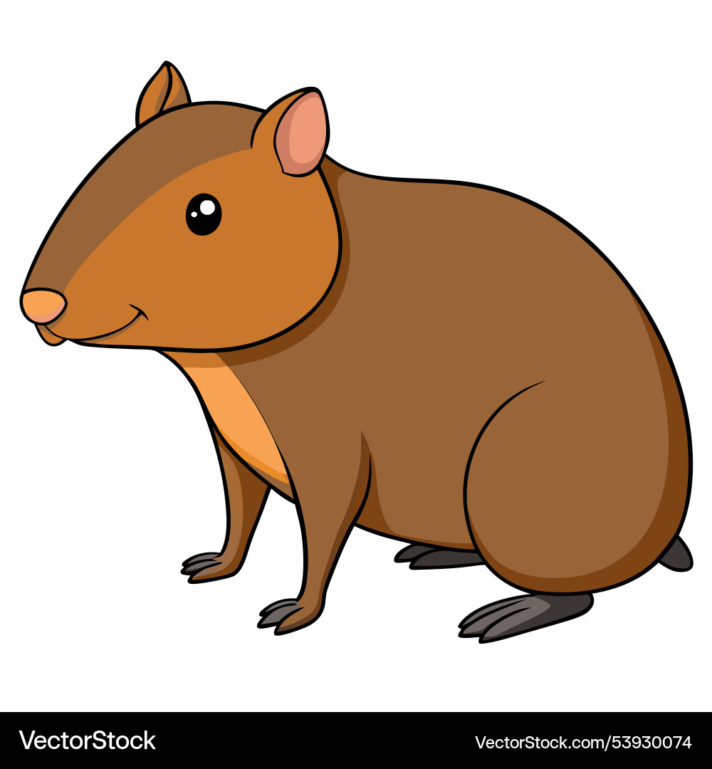 Rodents animal flat on white background Royalty Free Vector