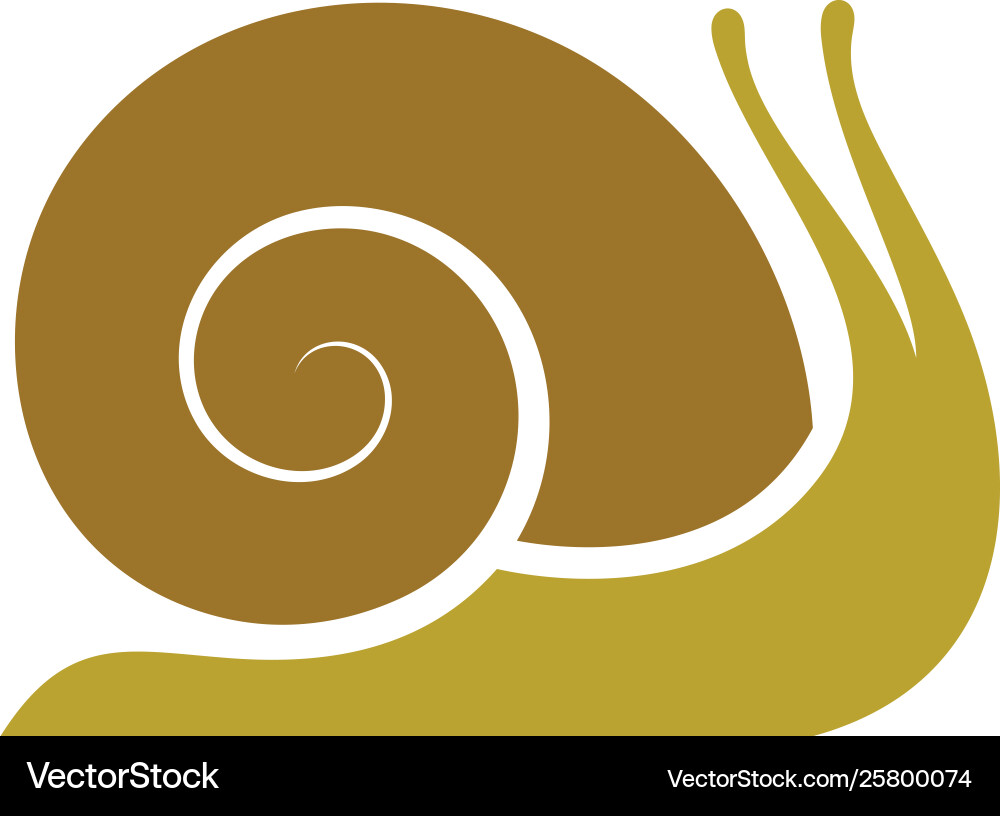 Snail logo Royalty Free Vector Image - VectorStock