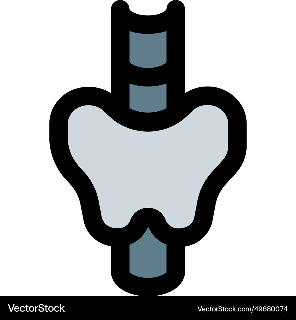 Thyroid is a butterfly-shaped gland that sits low Vector Image