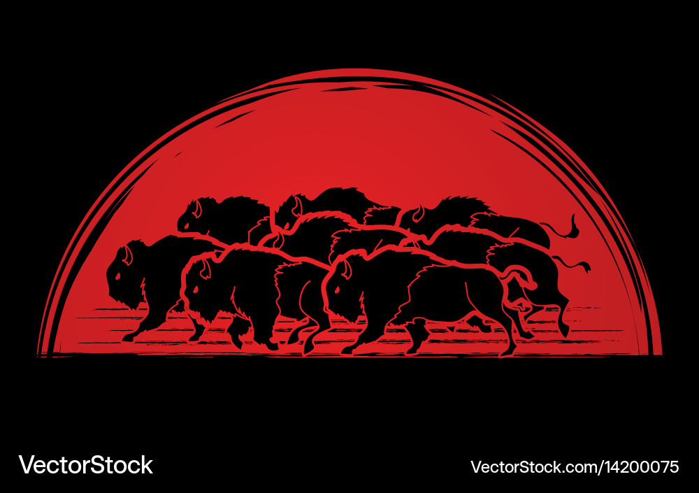 Buffalo Herd Running Graphic Royalty Free Vector Image
