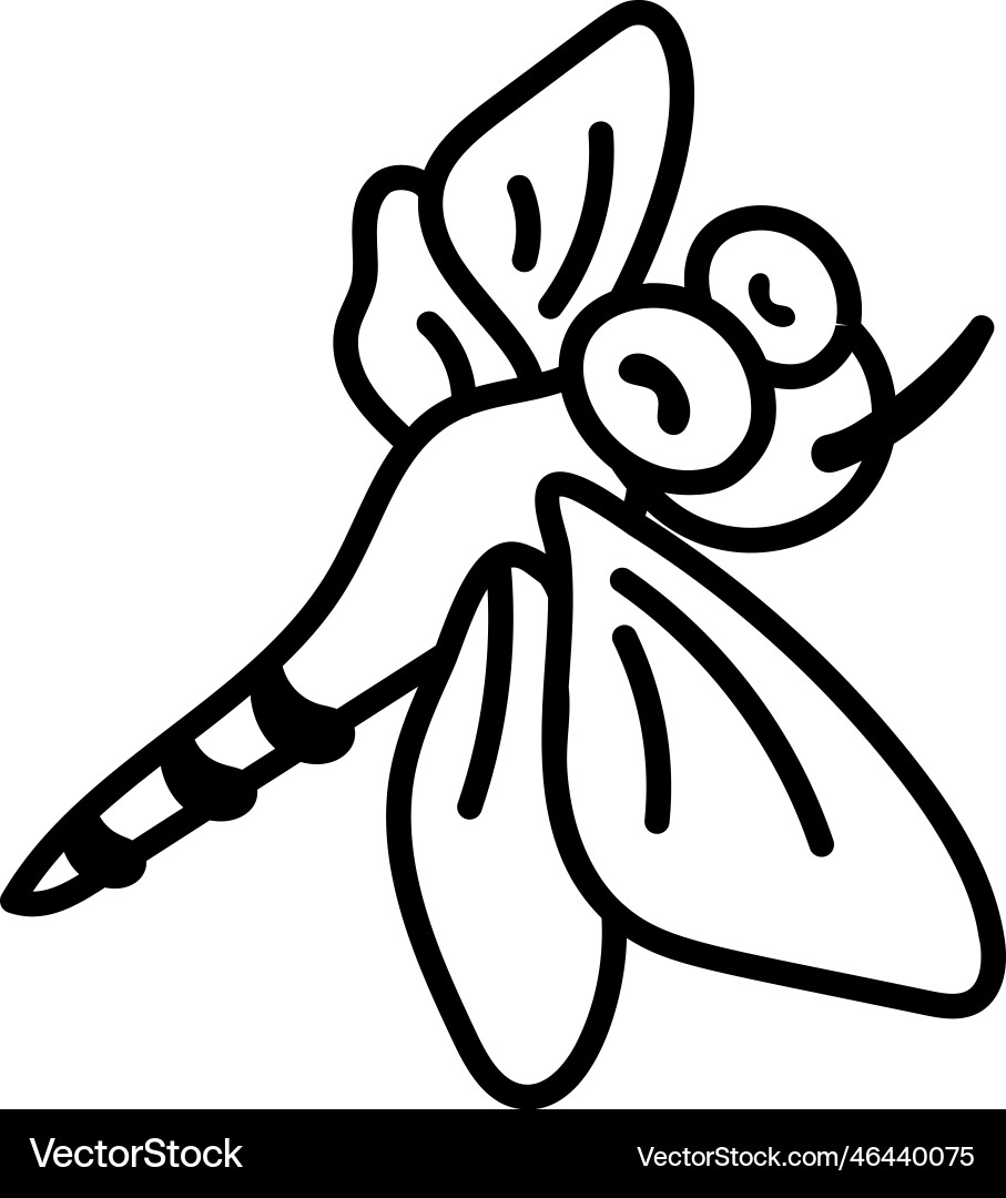 Culicidae Royalty Free Vector Image - VectorStock