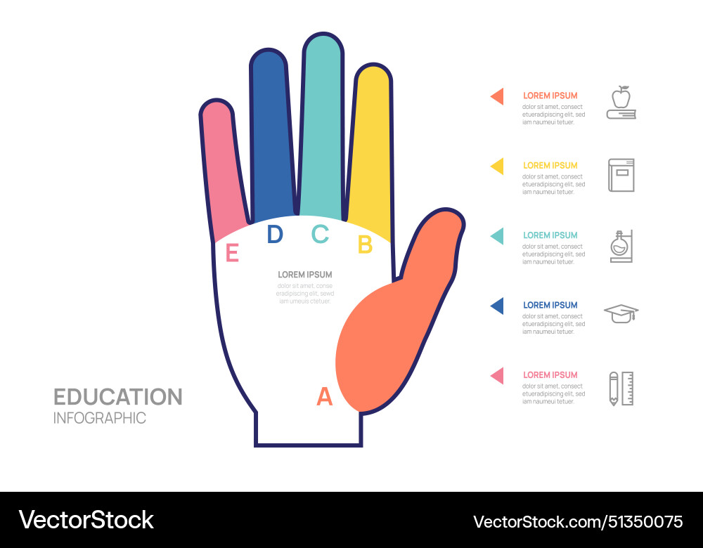 Infographic education hand diagram template Vector Image
