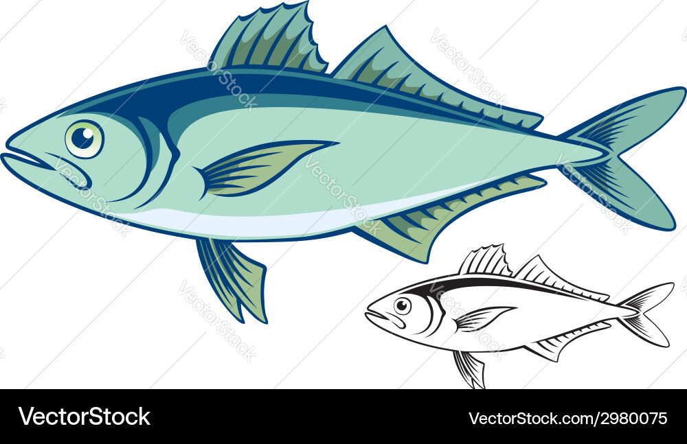 Mackerel Royalty Free Vector Image - VectorStock