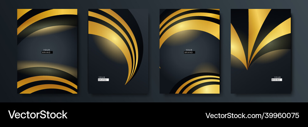 Modern luxury premium elegant gold black abstract Vector Image
