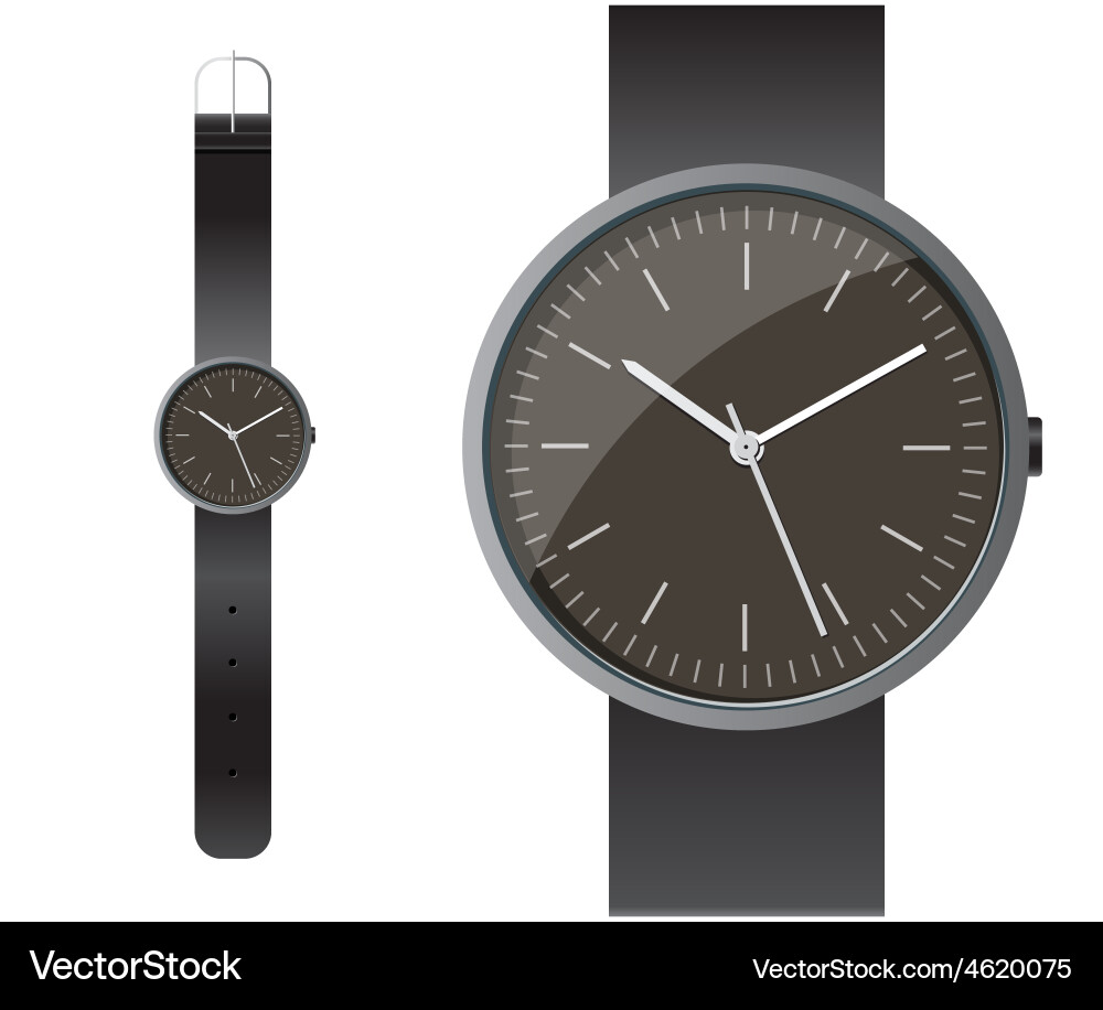 Watch Royalty Free Vector Image - VectorStock