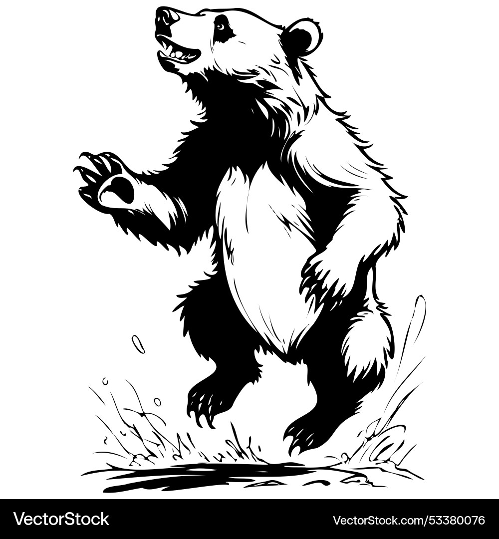 Bear jump black hand drawn animal transparent Vector Image