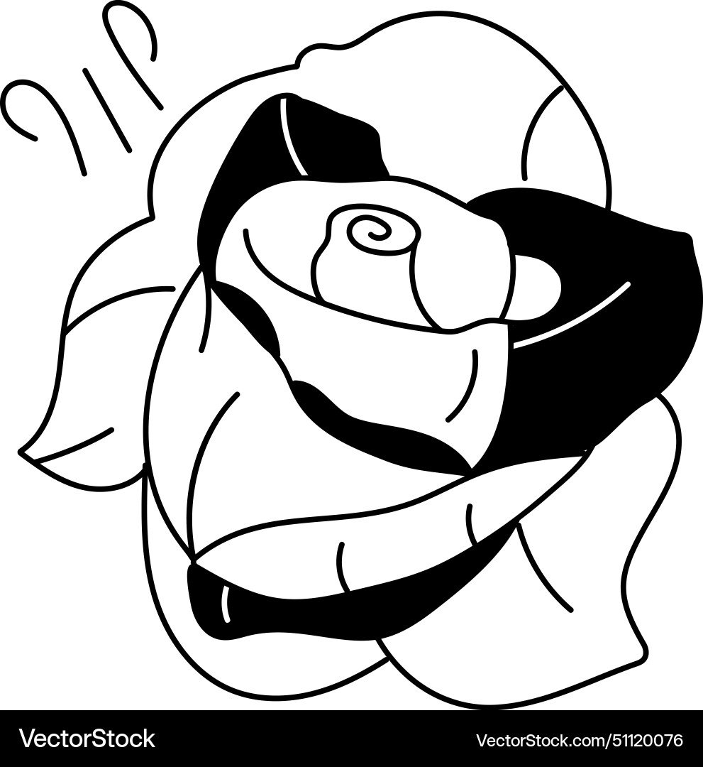 Blooming rose Royalty Free Vector Image - VectorStock