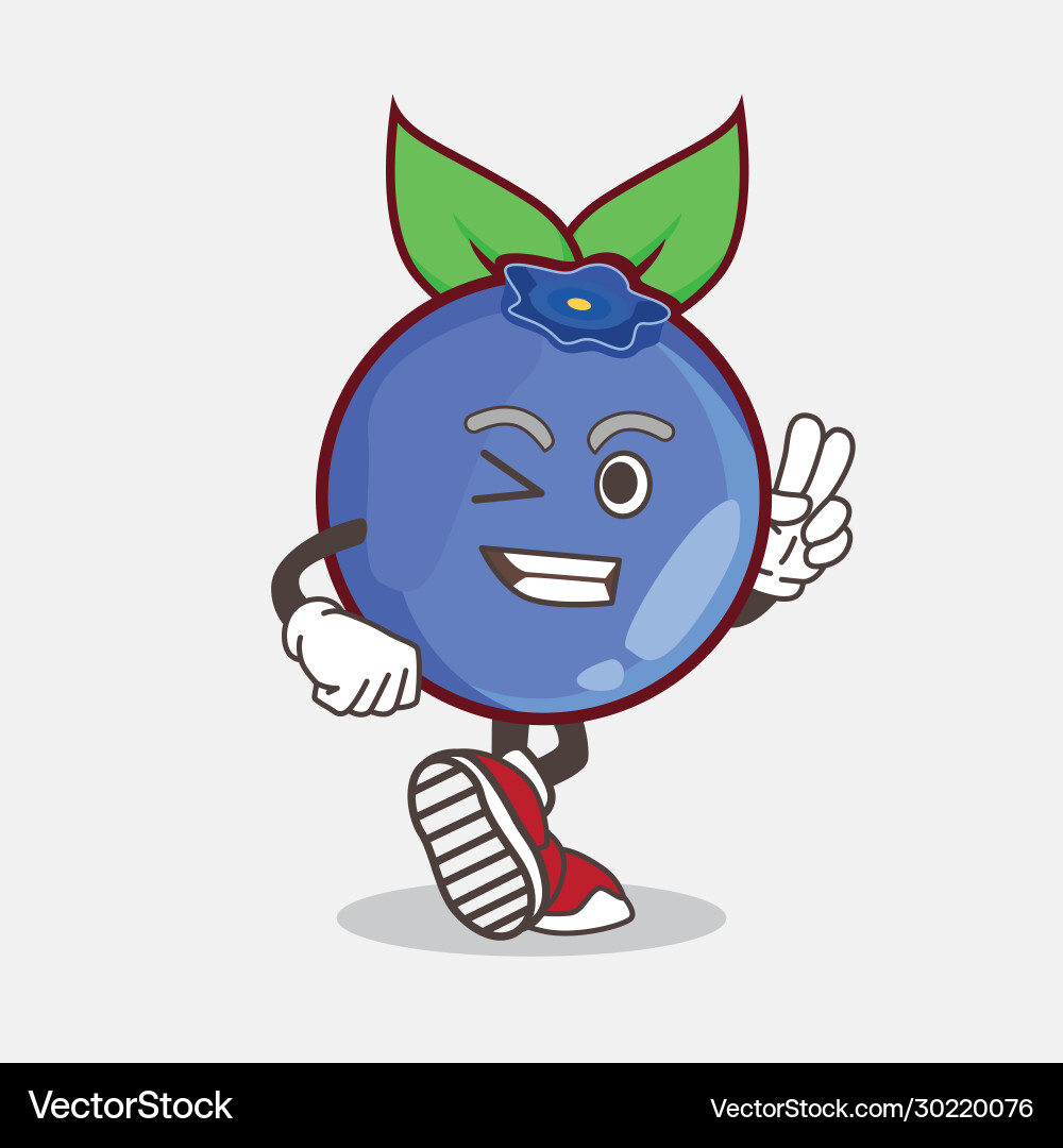 Blueberry fruit cartoon mascot character with two Vector Image