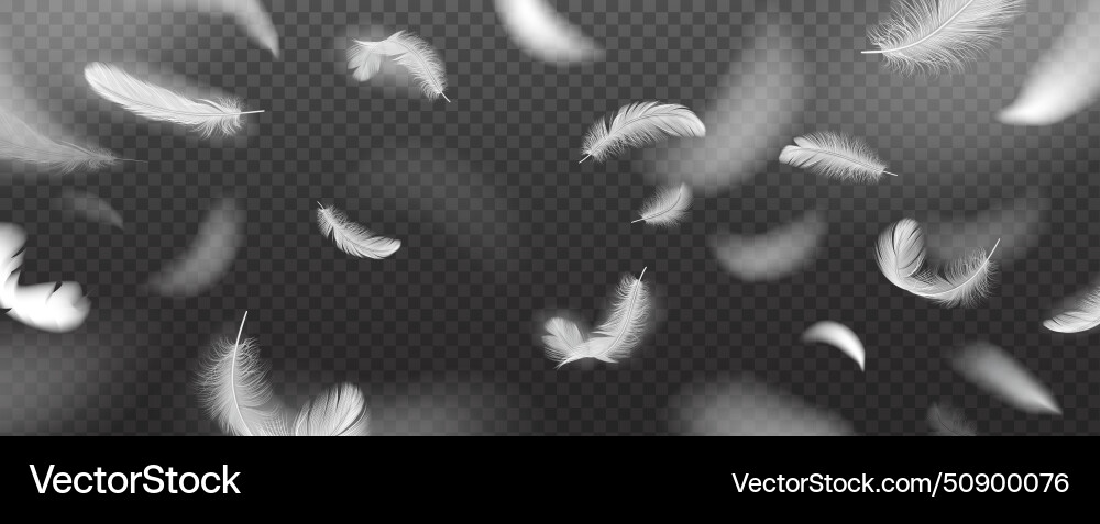 Floating feathers pattern realistic Royalty Free Vector