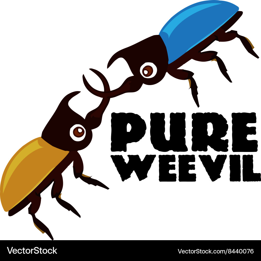 Pure weevil Royalty Free Vector Image - VectorStock