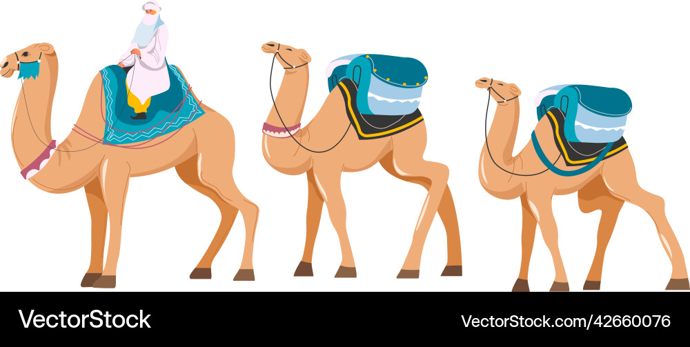 Sheikh riding camel desert traveling Royalty Free Vector
