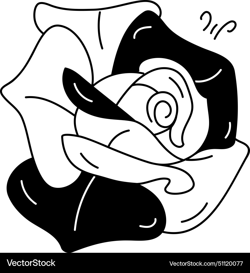 Garden rose Royalty Free Vector Image - VectorStock