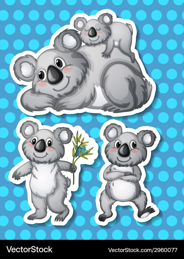 Koala Royalty Free Vector Image - VectorStock