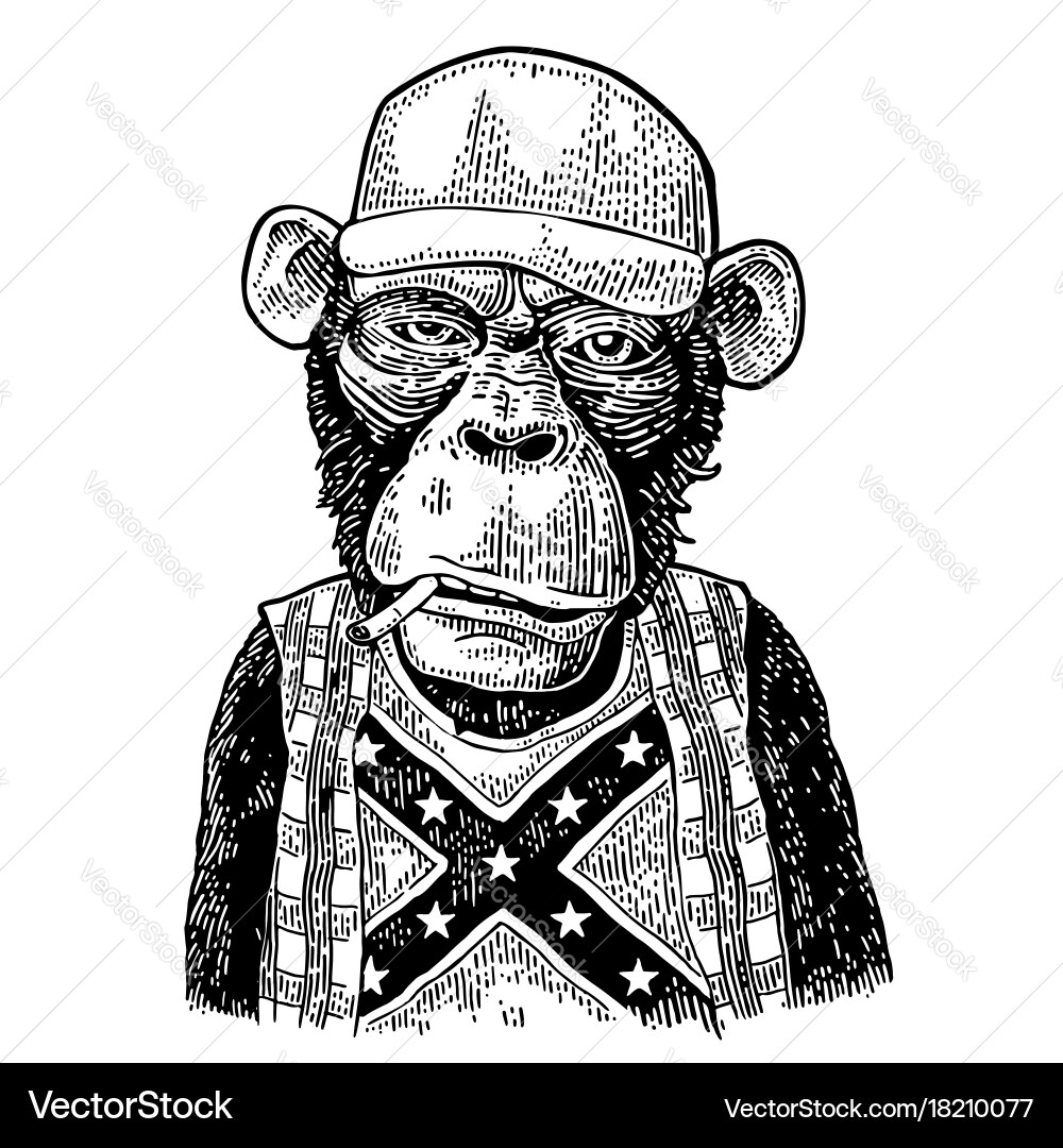 Monkey redneck in trucker cap t-shirt with flag Vector Image