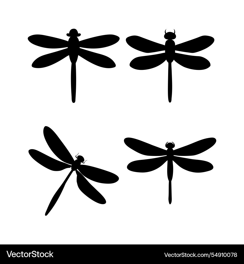 Dragonfly silhouette Royalty Free Vector Image