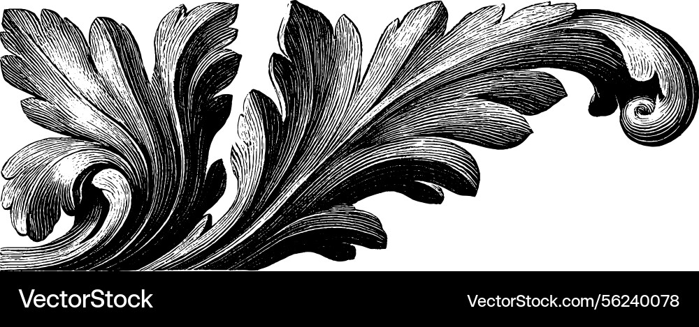Ornate engraved floral corner decorations Vector Image