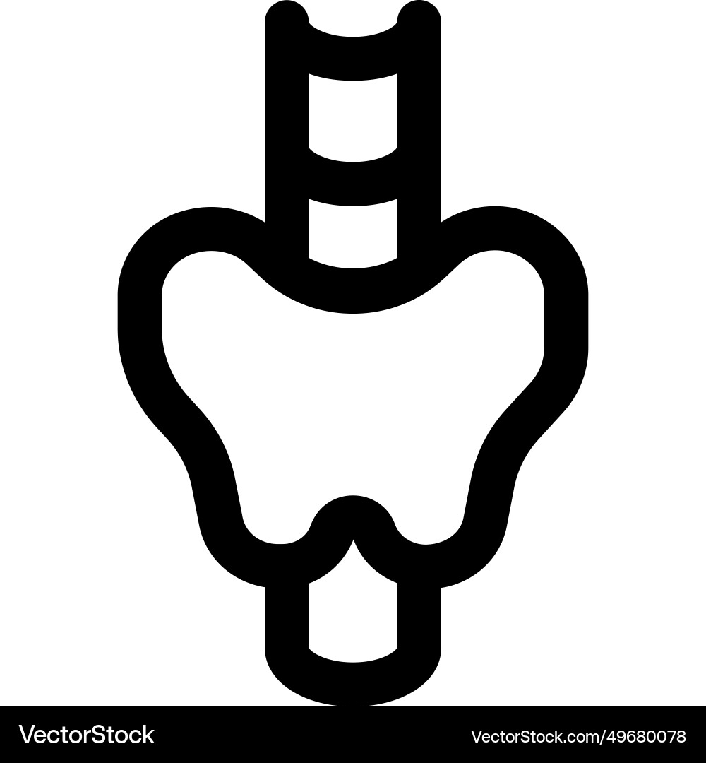 Thyroid is a butterfly-shaped gland that sits low Vector Image