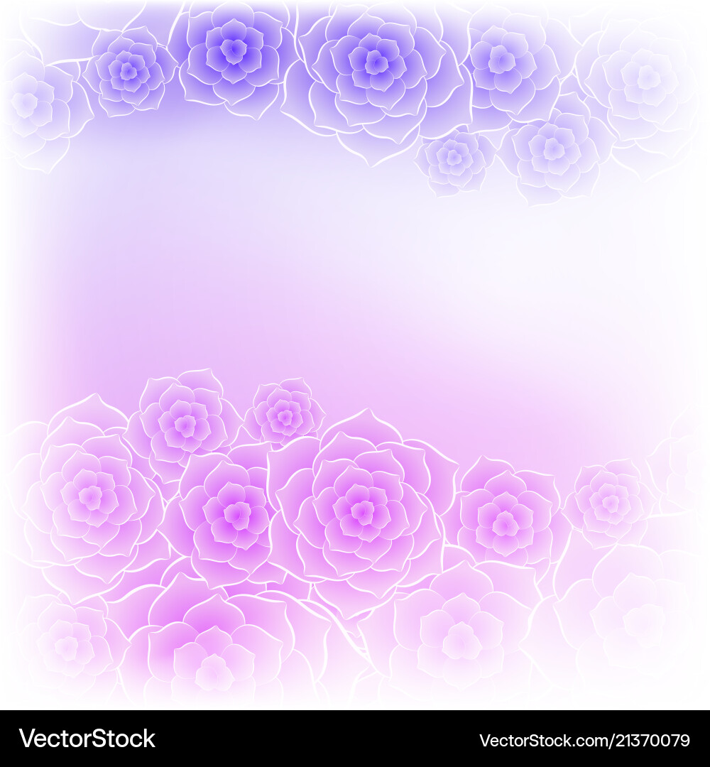 Beautiful purple pink rose flower background Vector Image