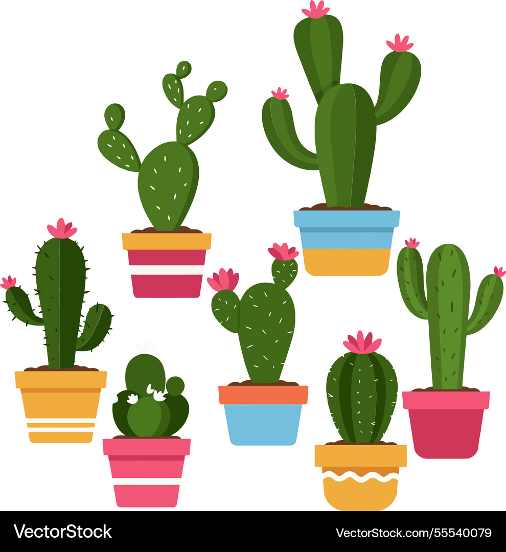 Colorful cactus plants in pots with flat design Vector Image