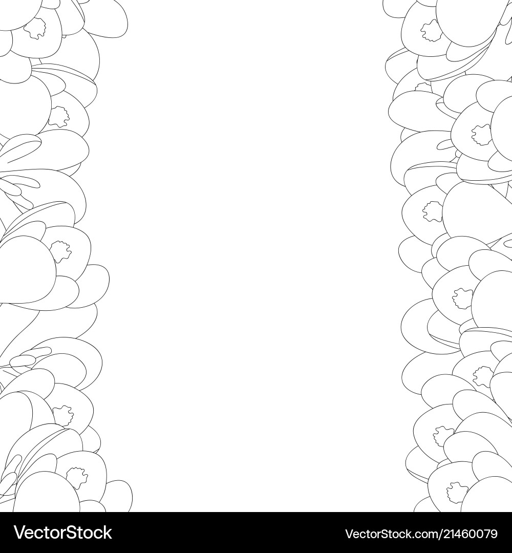 Crocus flower outline border Royalty Free Vector Image