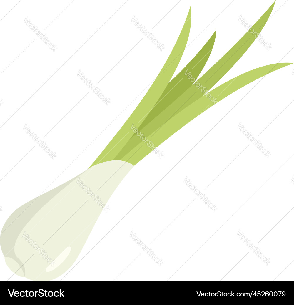 Leaf chive icon flat fresh onion Royalty Free Vector Image