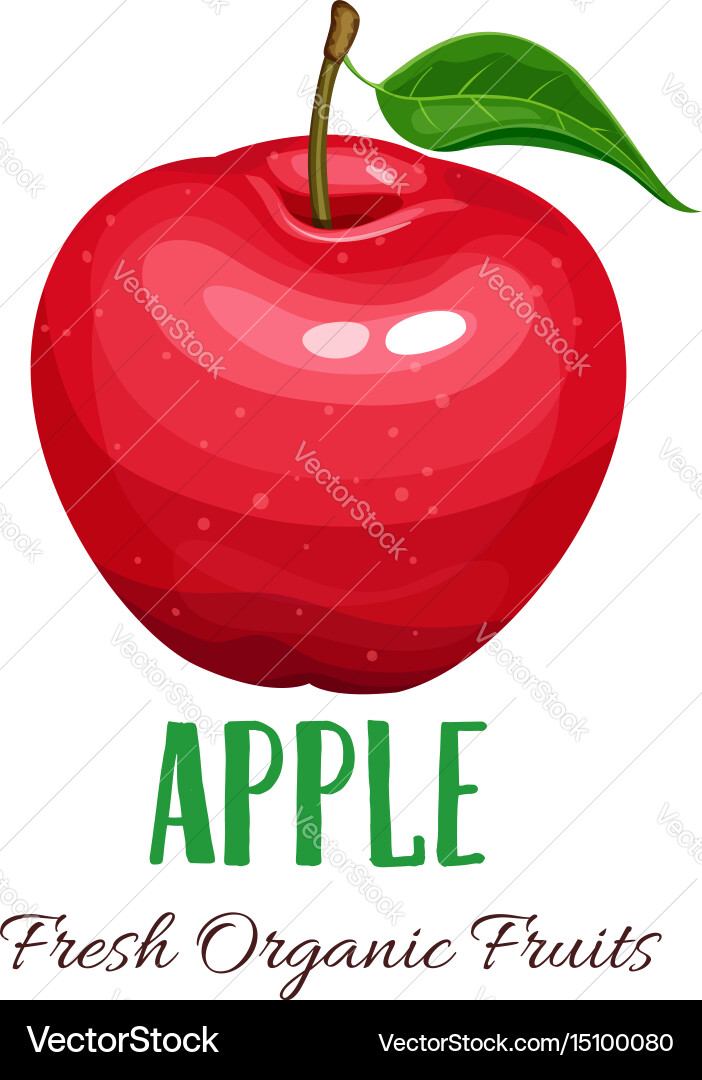 Apple Royalty Free Vector Image - VectorStock
