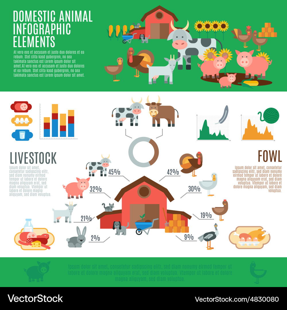 Farm Animal Collection Infographics Royalty Free Vector