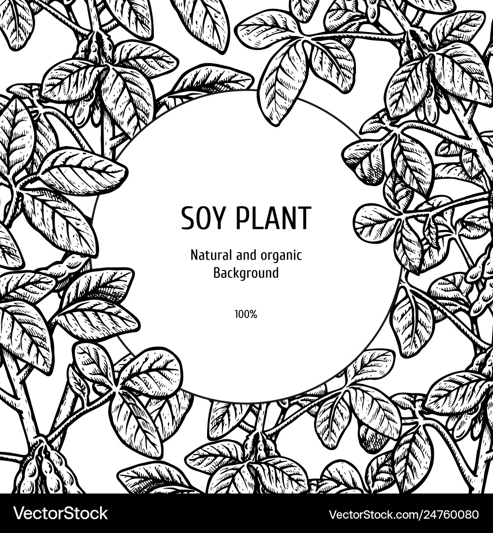 Hand drawn background with soy plant Royalty Free Vector