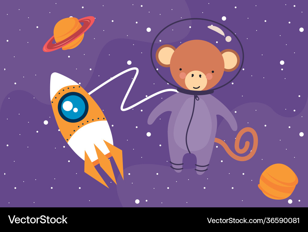 Monkey and rocket Royalty Free Vector Image - VectorStock